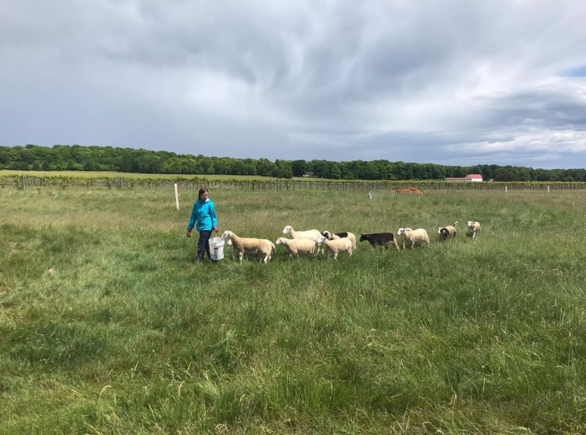 Meet our 2021 Interns - Part Two - Gathering Ground