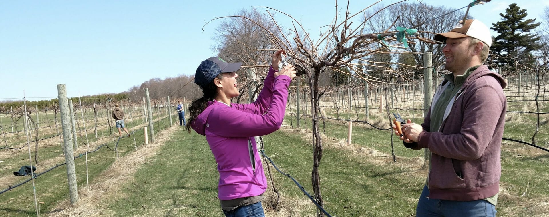 Thursday Workshops at The Grounds - Gathering Ground